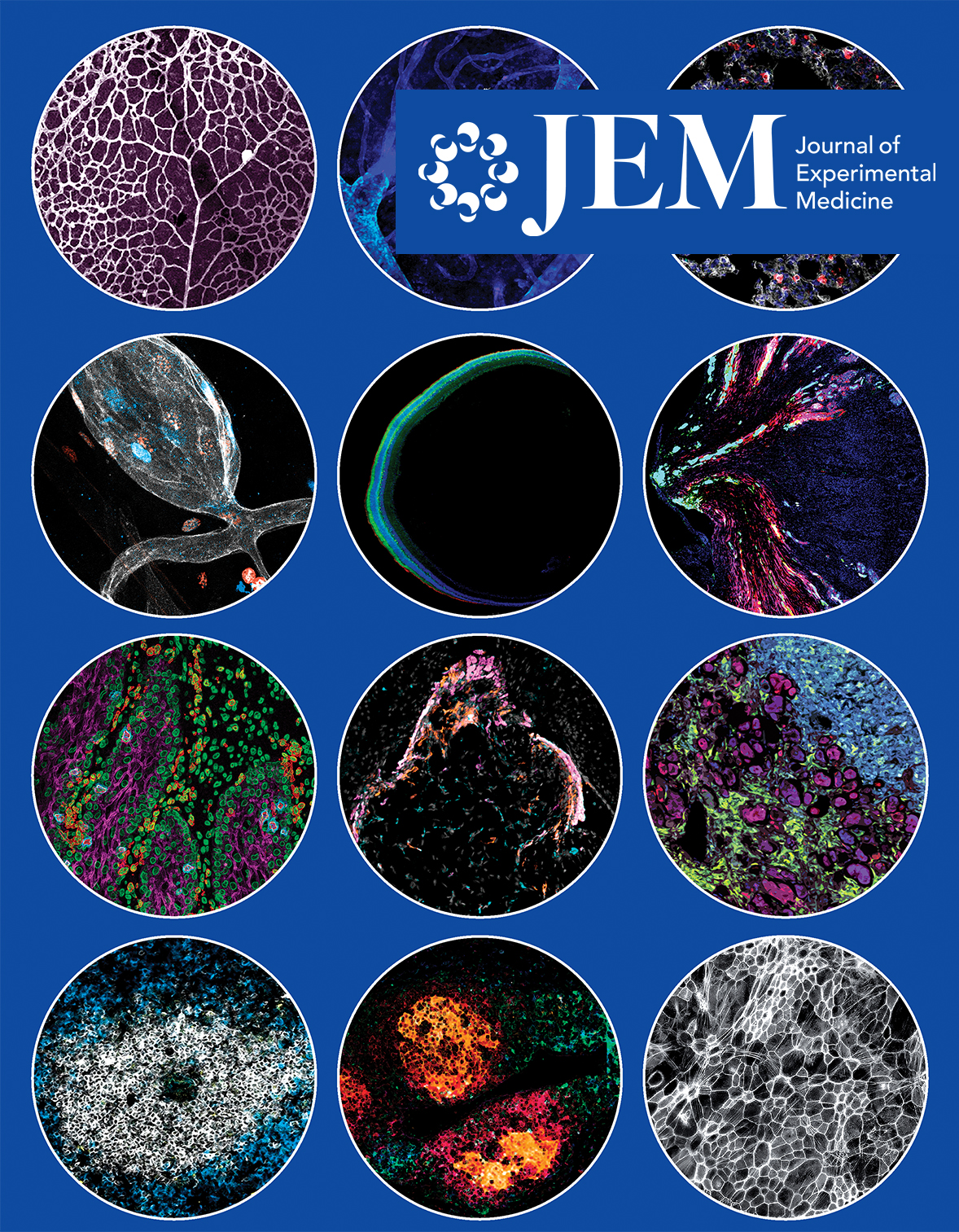 JEM Collections